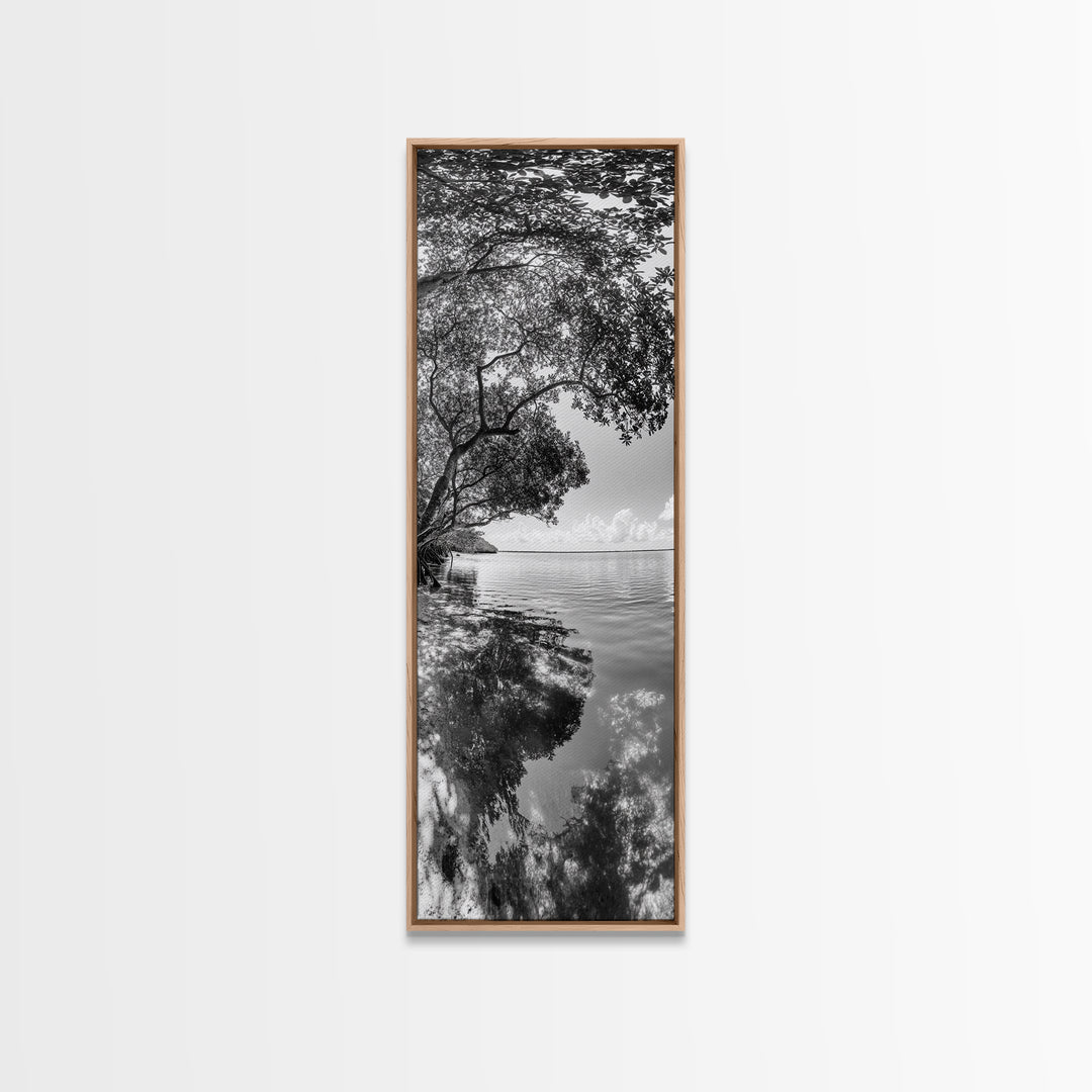 Mangrove Shoreline, Tree Reflections, Still Waters, Tranquil Escape, B ...