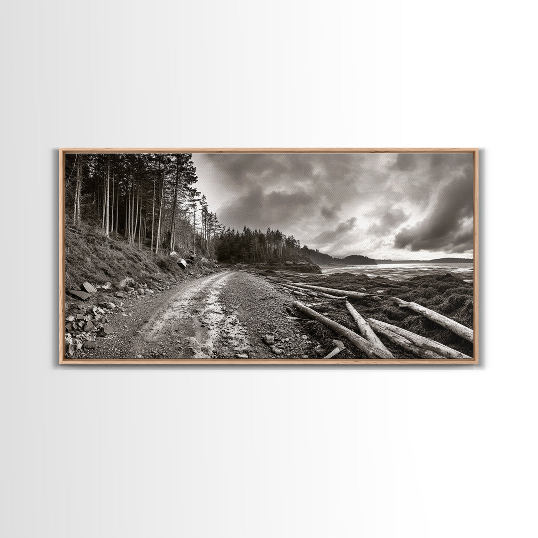 Forest Ocean Trail, Stormy Beach Scene, Driftwood Pathway, Framed Canv ...