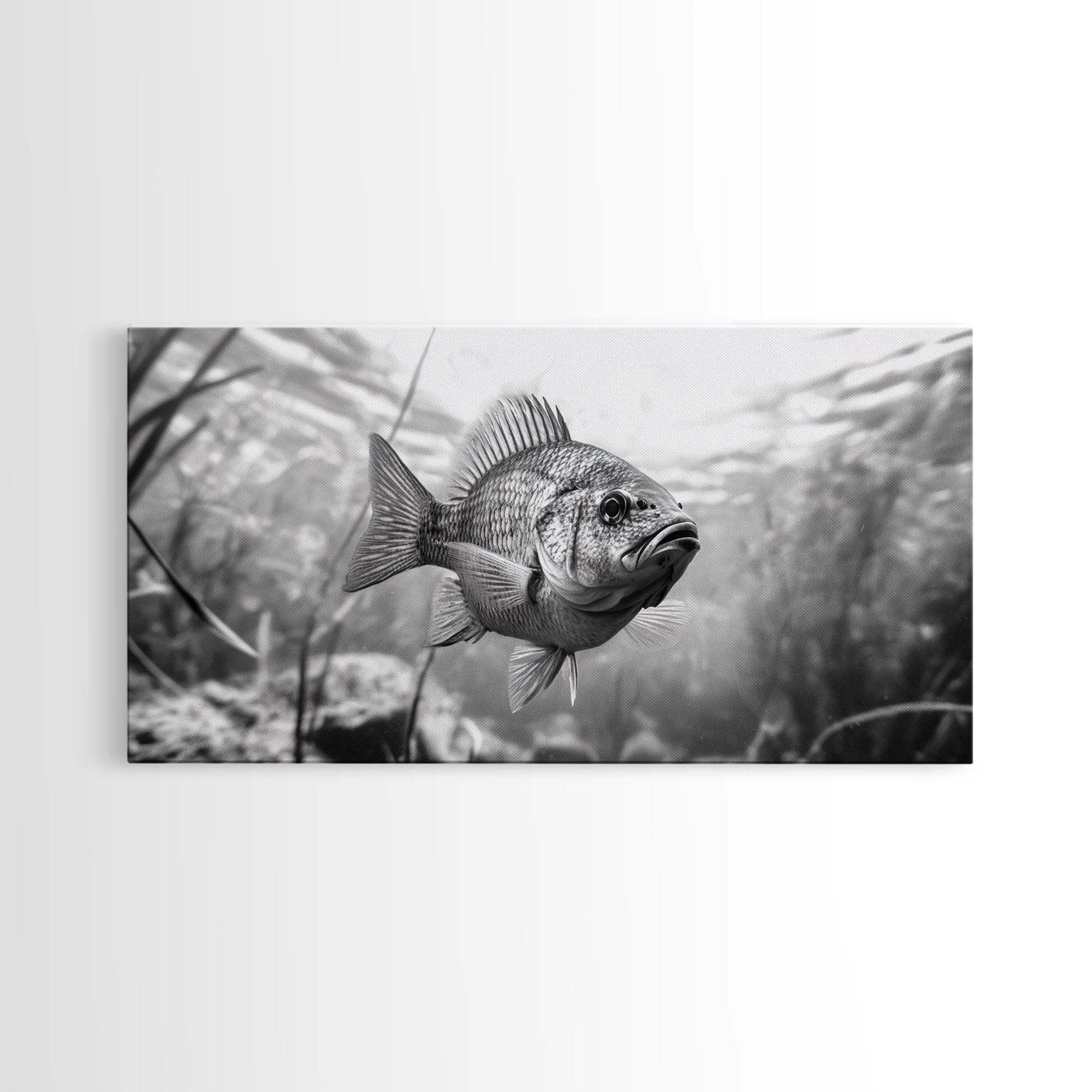 Underwater Fish, Nature Photography, Lake Life Scene, Freshwater Anima ...