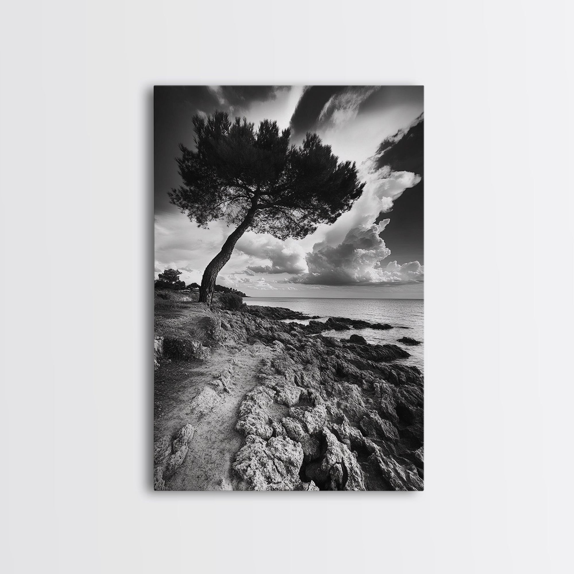 Wind Bent Tree, Coastal Cliff, Solitary Beauty, Canvas Print, Nature P ...