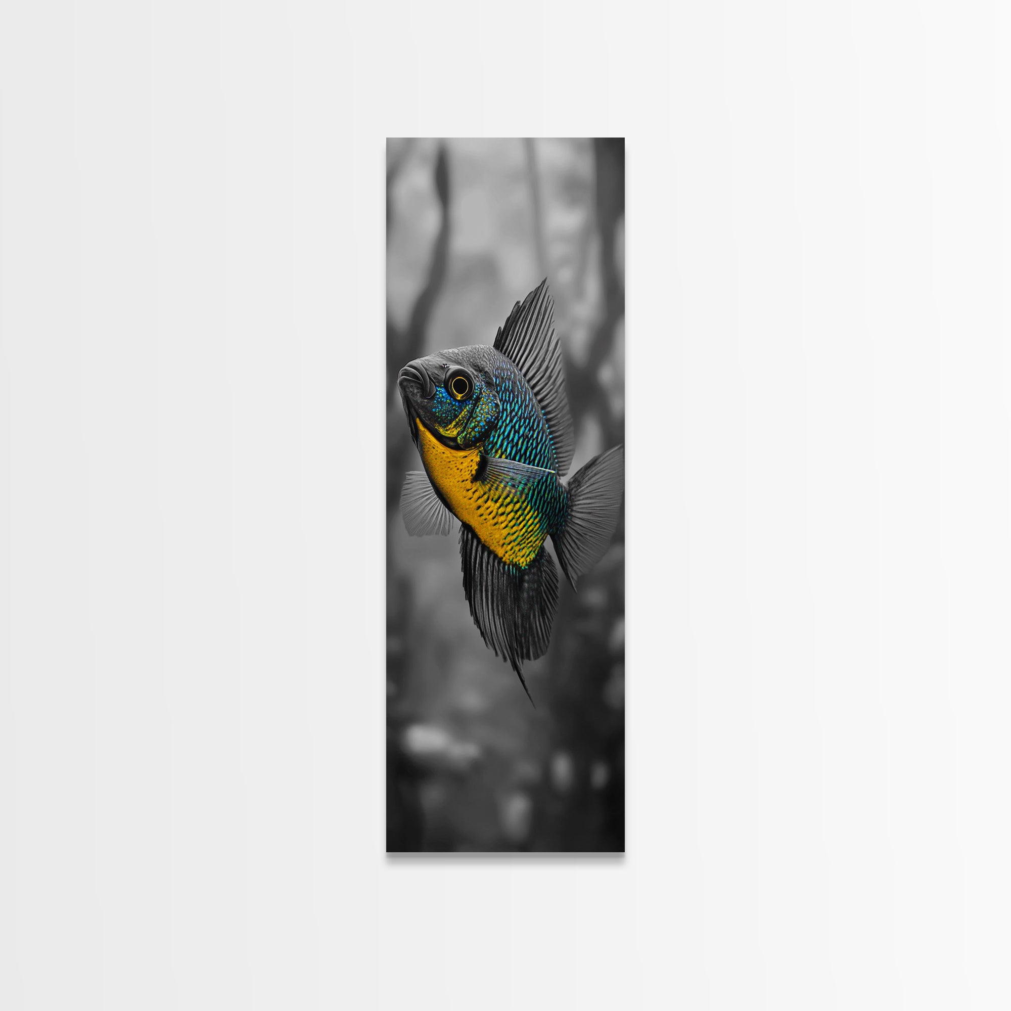 Bluegill Fish, Underwater Life, Bold Colors, Freshwater Beauty, Framed ...