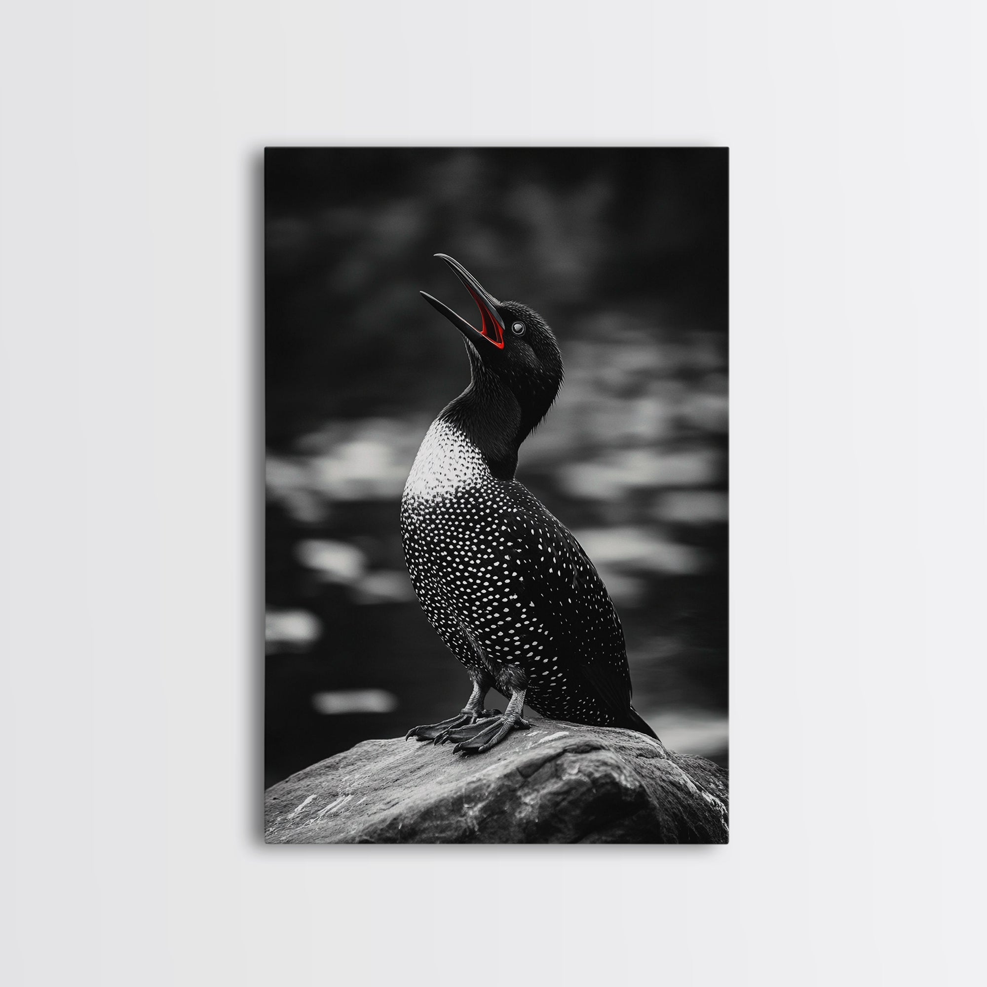 Loon Call, Singing Bird, Red Beak, Monochrome Framed Canvas Print, Wil ...