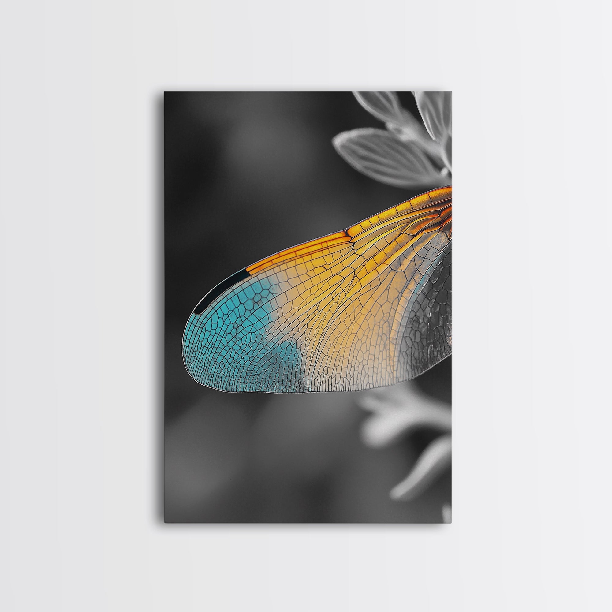 Wing Detail, Colorful Insect, Macro Nature, Blue Orange Wing, Framed C ...