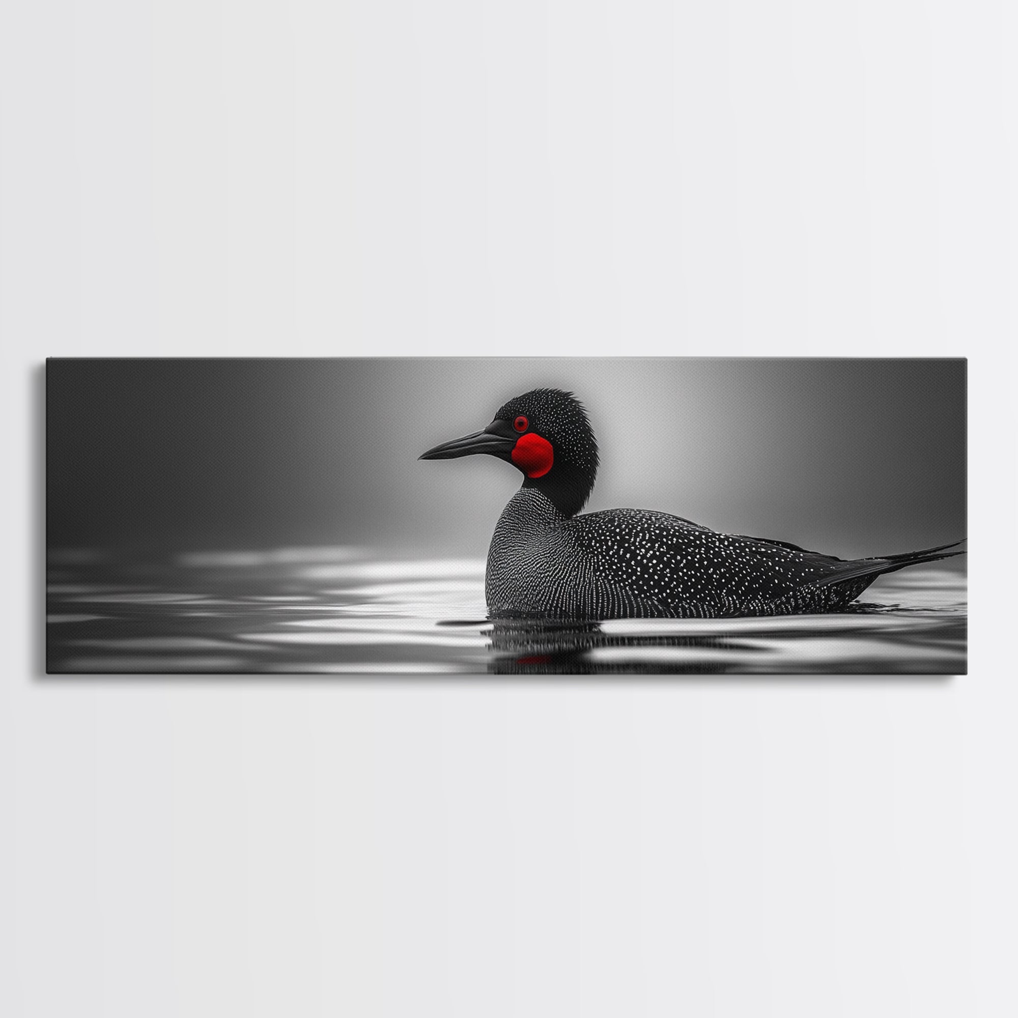 Red-Eyed Loon, Waterbird, Monochrome Beauty, Wildlife Portrait, Framed ...