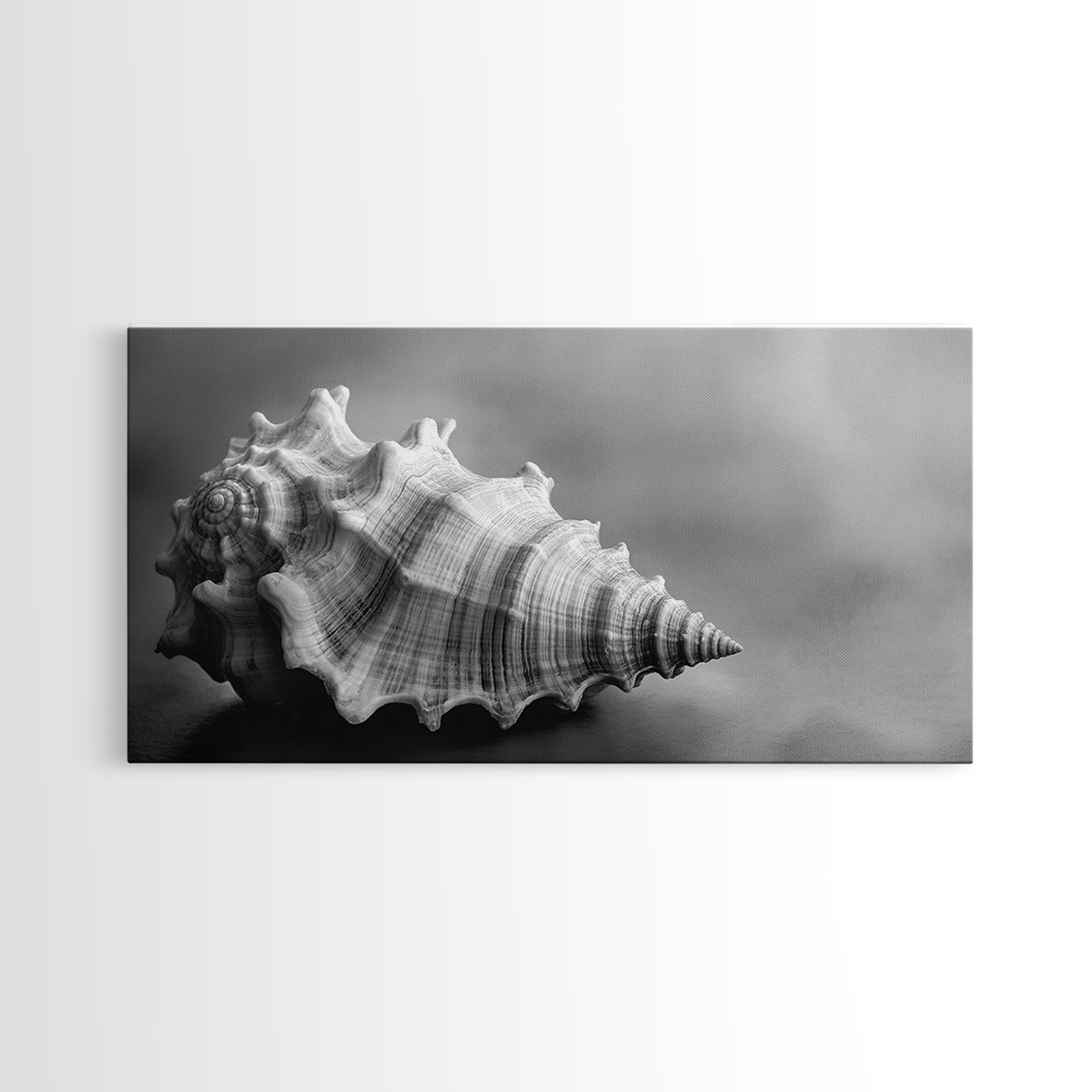 Sea Shell, Wabi Sabi Art, Coastal Decor, Minimalist Art, Nautical Wall ...